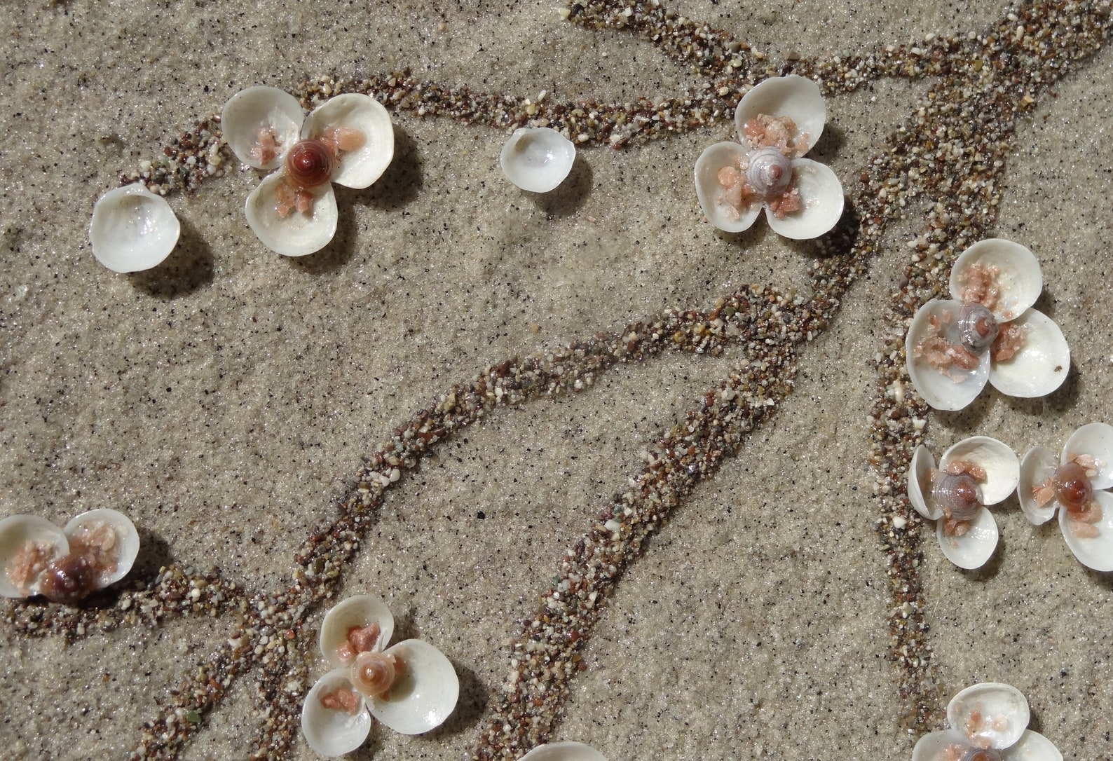 Painting of Shells and Sand "sakura Branch" - Etsy Canada