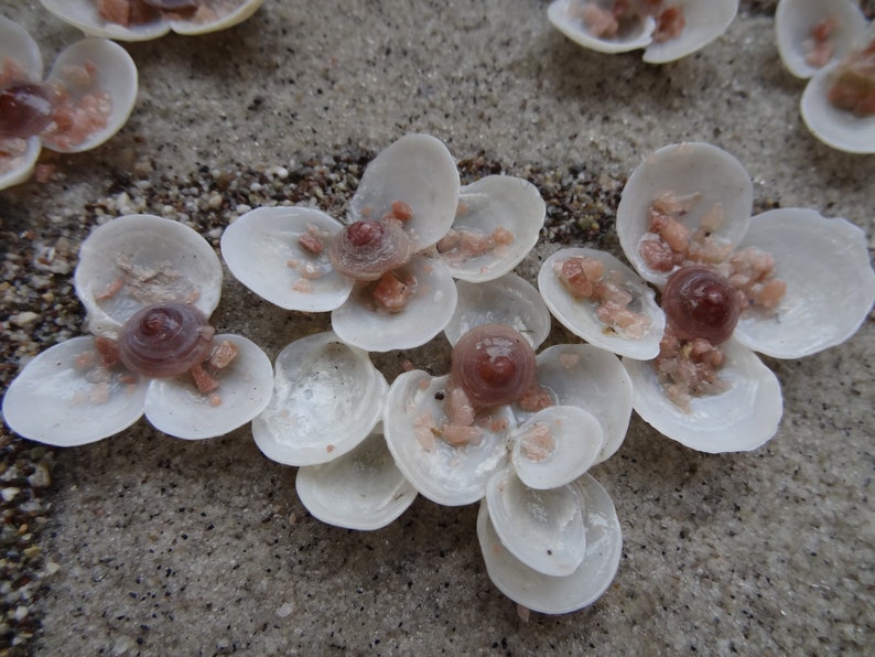 Painting of Shells and Sand sakura Branch - Etsy