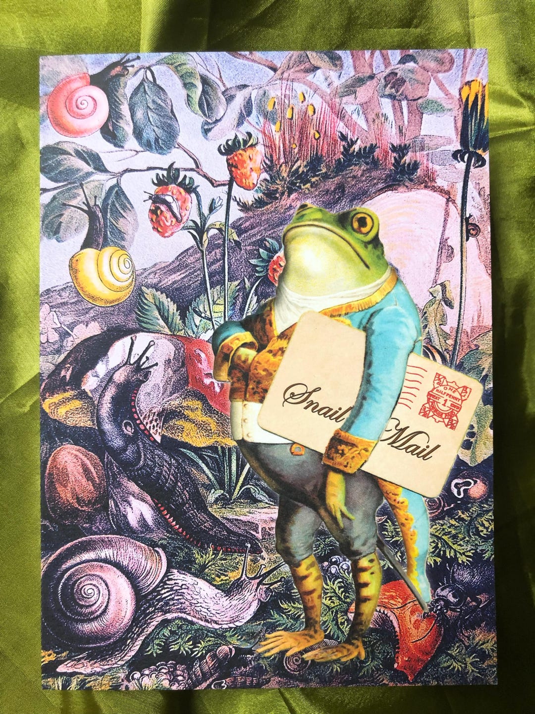 NEW! Snail Mail Wonderland Anytime Card With Dandy Frog Courier—5x7 ...