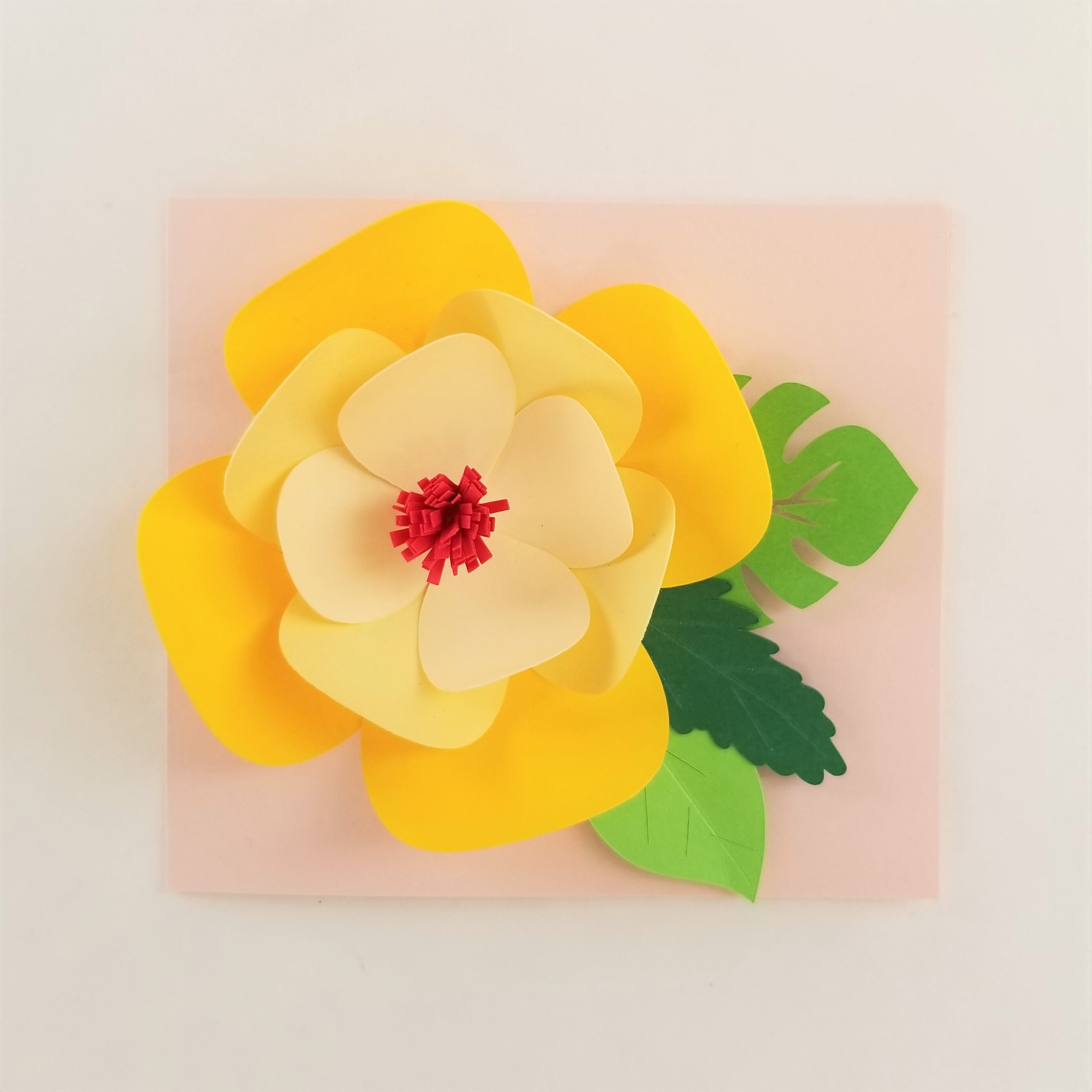 Ombre 3D Flower Cards, Handmade Spring Themed Cards - Etsy