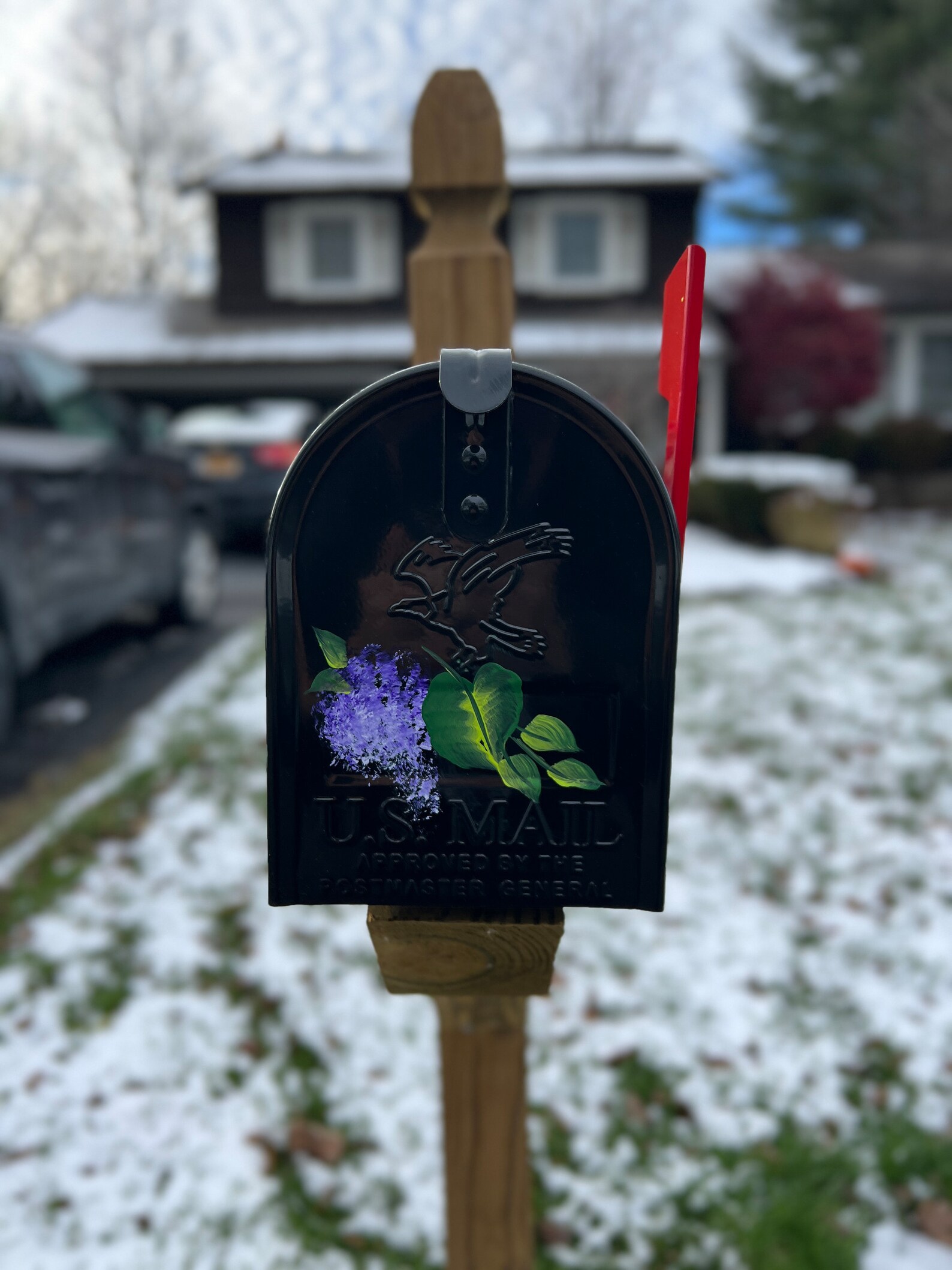 Hand Painted Purple Wisteria Mailbox With Green Vines, White OR Black ...