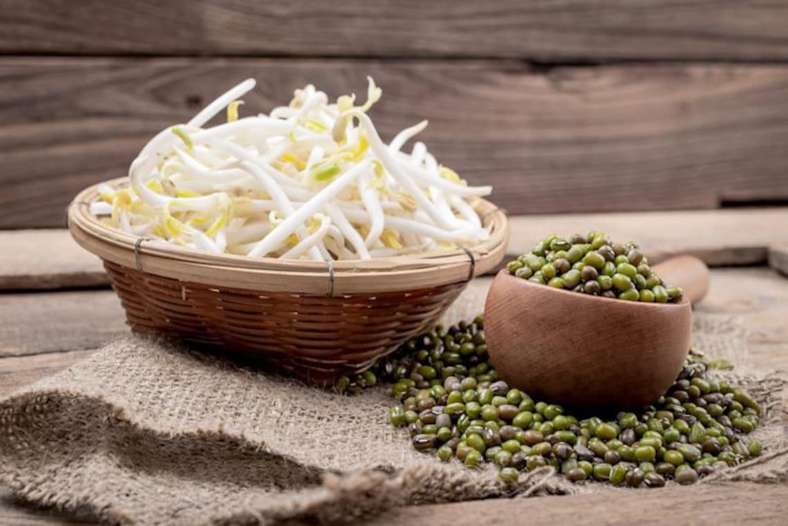 Organic Mung Bean Sprouting Seeds - Etsy