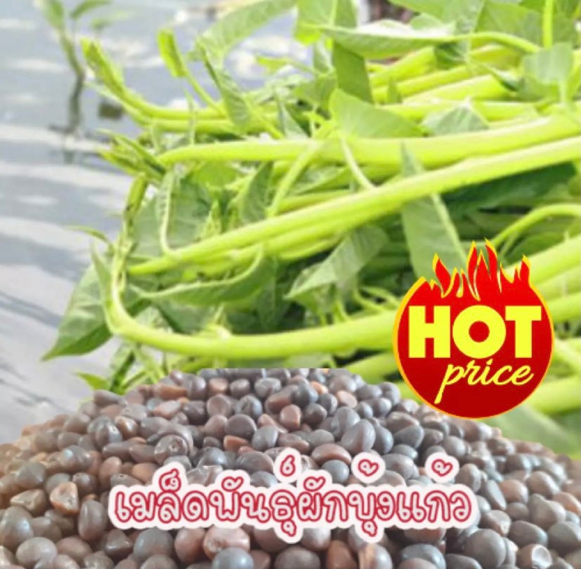 Thai Water Spinach (thai Pak Boong) Yentafo - Etsy