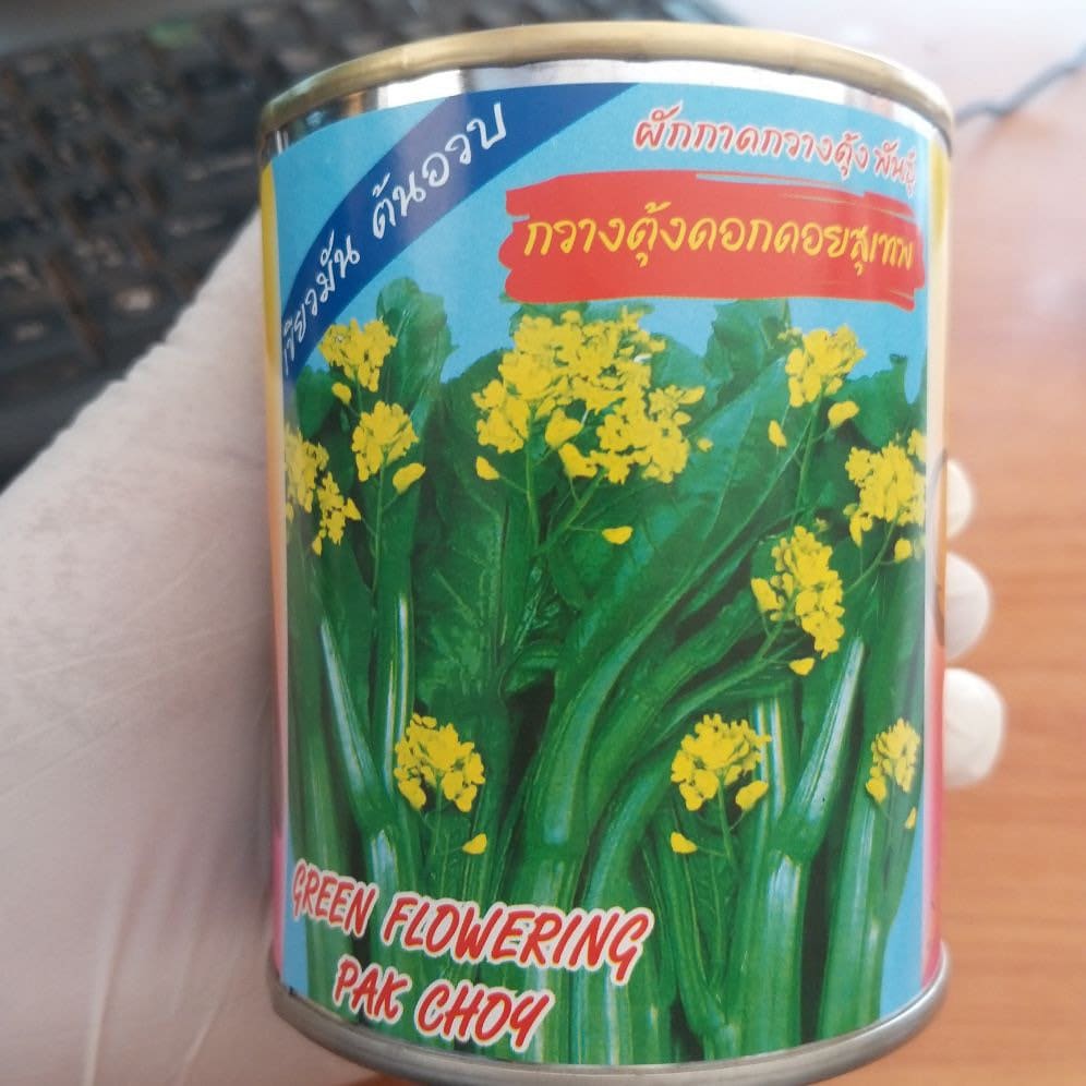 Green Flowering Pak Choy Seeds - Etsy