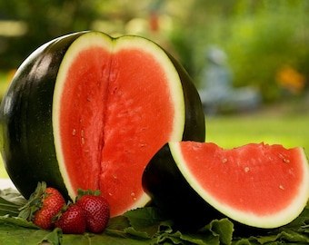 Black Diamond, Heirloom Watermelon, 10 Seeds, Non GMO, Huge Fruits ...
