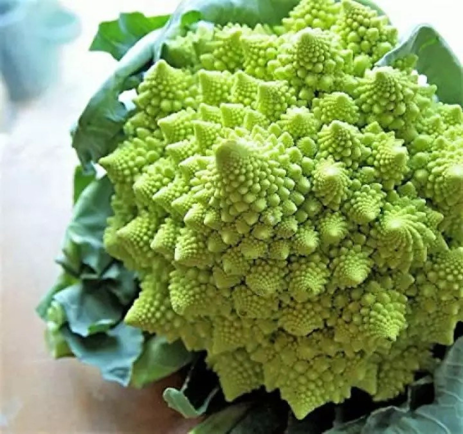 Romanesco Cauliflower Seeds - Etsy
