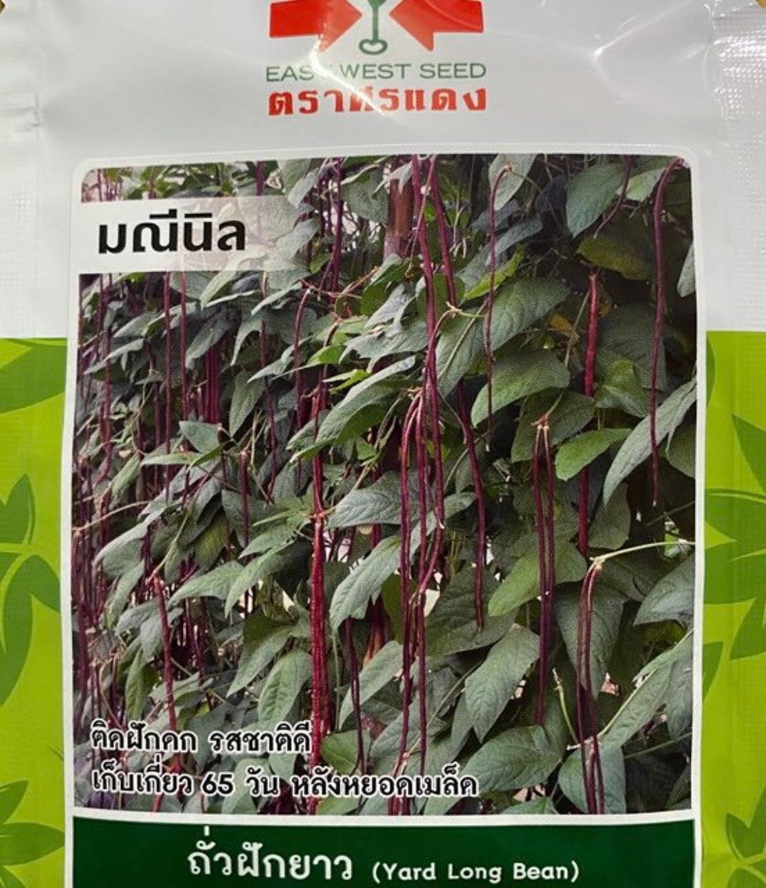 Purple Yard Long Bean Seeds - Etsy