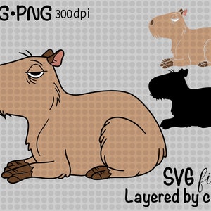 Capybara Svg Files for Cricut, Cute Pet Clipart, Layered Svg - Etsy