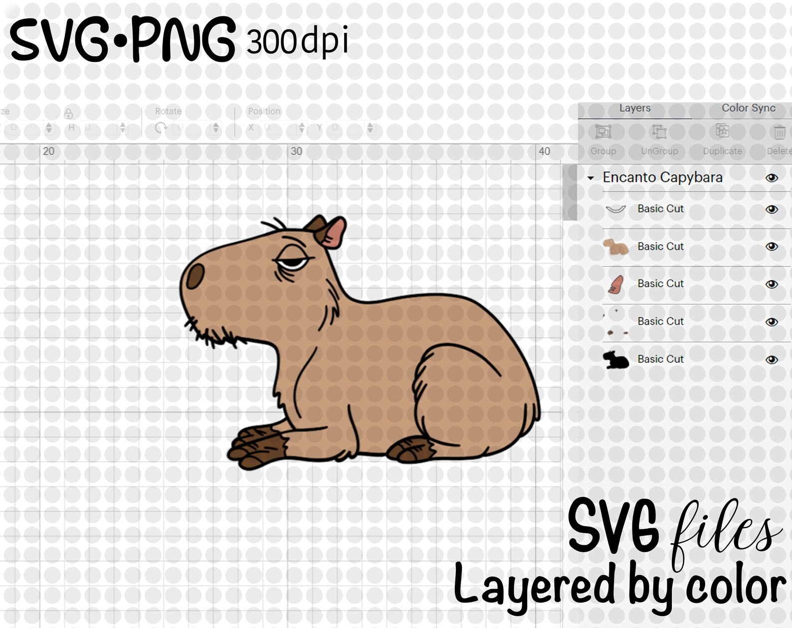 Capybara Svg Files for Cricut Cute Pet Clipart Layered Svg - Etsy