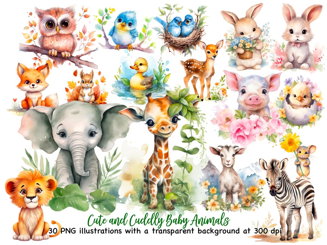30 Watercolor Baby Animals Clipart, 30 Whimsical Baby Animal Clipart ...