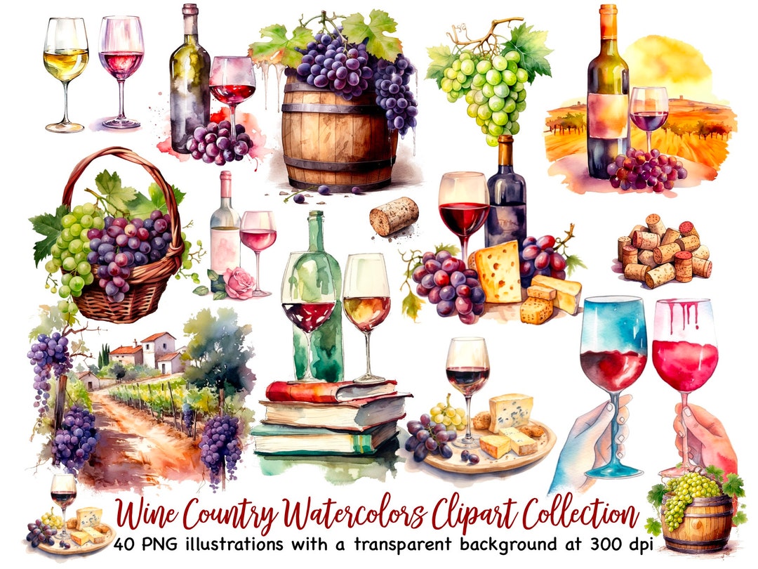12 Mixed Wine Watercolor Clipart, Cheese Clipart, Charcuterie Board ...