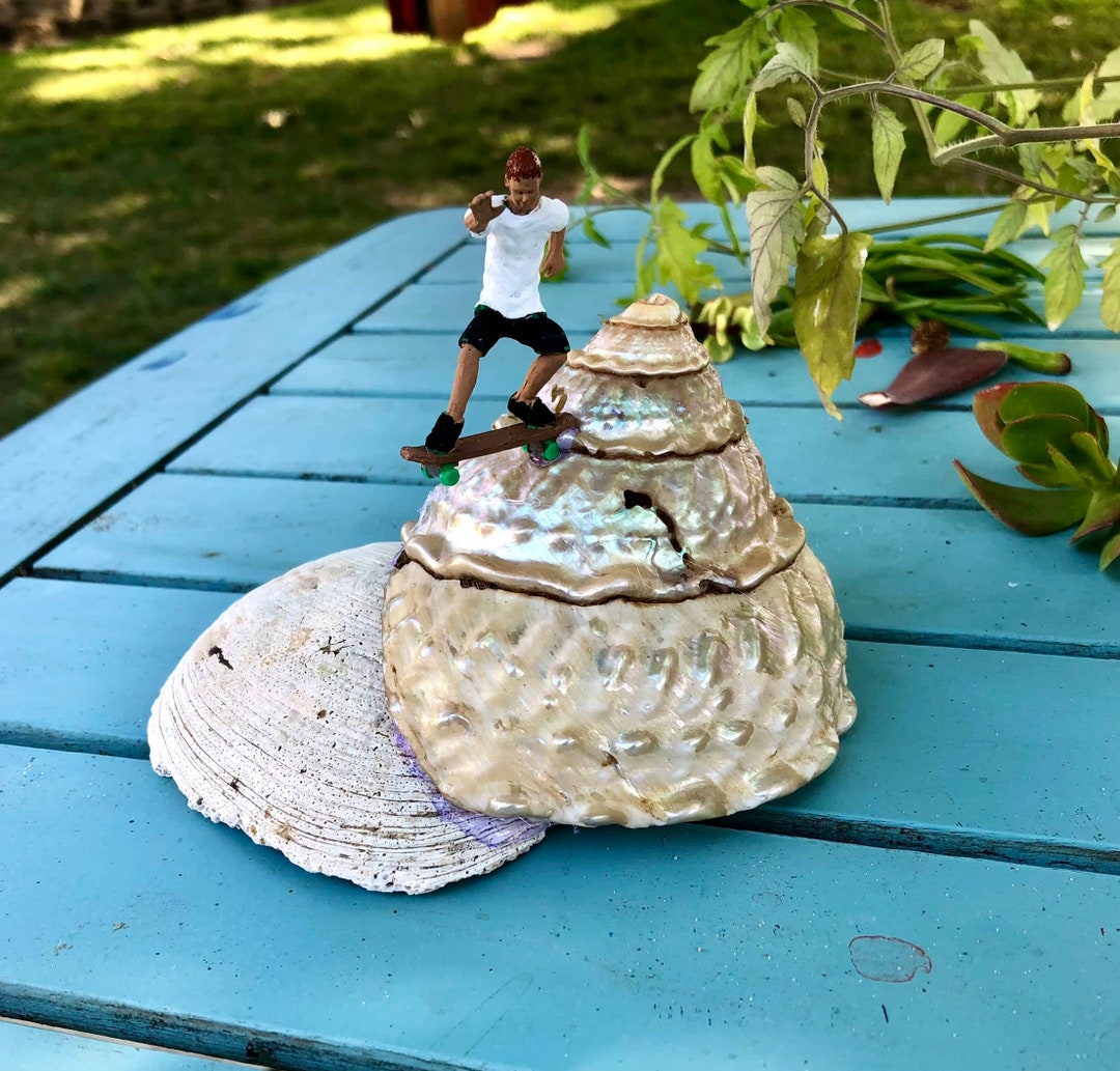 Seashell Skateboard Figurine Doin' the Smith - Etsy