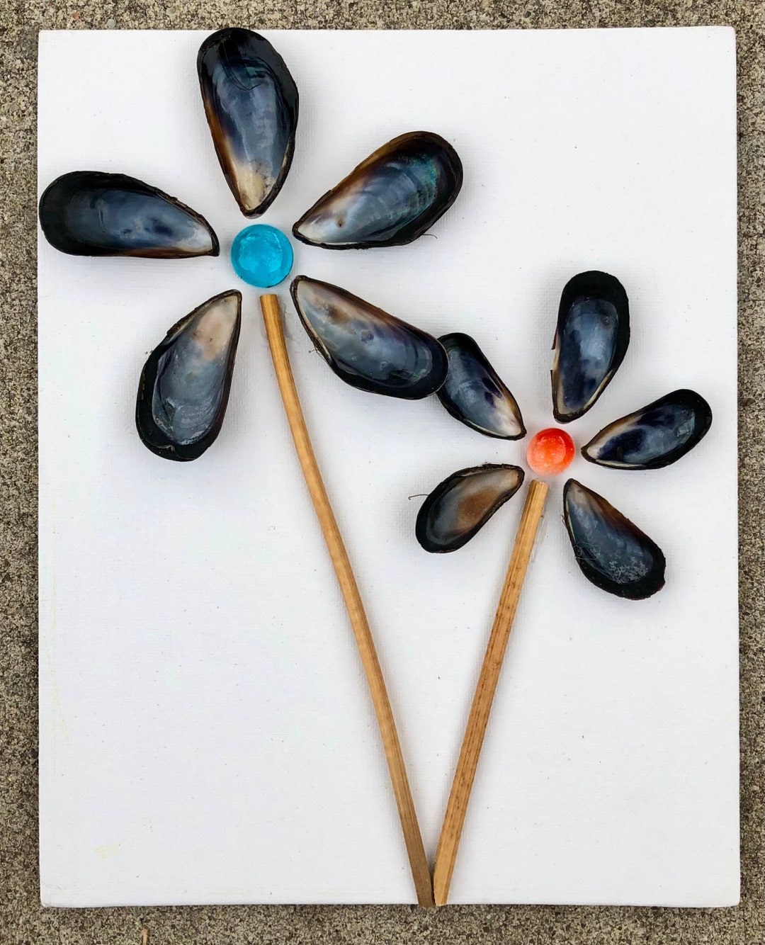 Mussel Shell Flowers on 8 X 10 Flat Canvas - Etsy