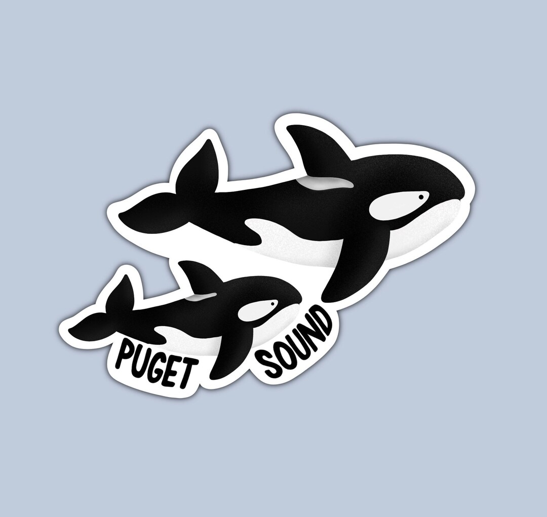 Puget Sound Orca Whale Sticker, Washington, PNW, Whale Watching, Killer ...