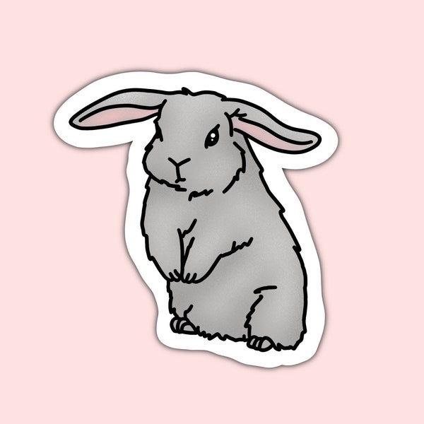 Lop Bunny - Etsy