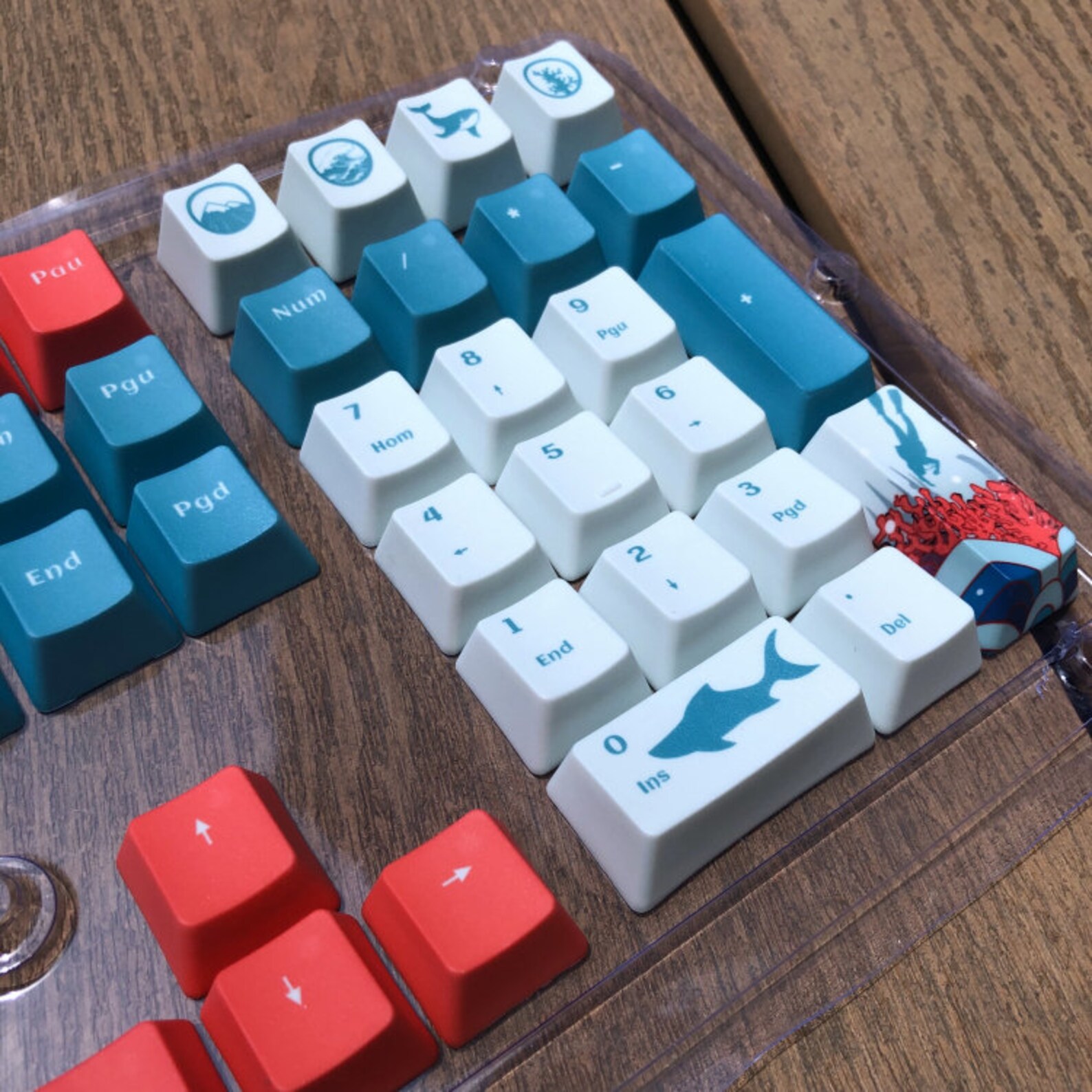 CORAL Sea Themed Keycap Set for Mechanical Keyboard OEM | Etsy