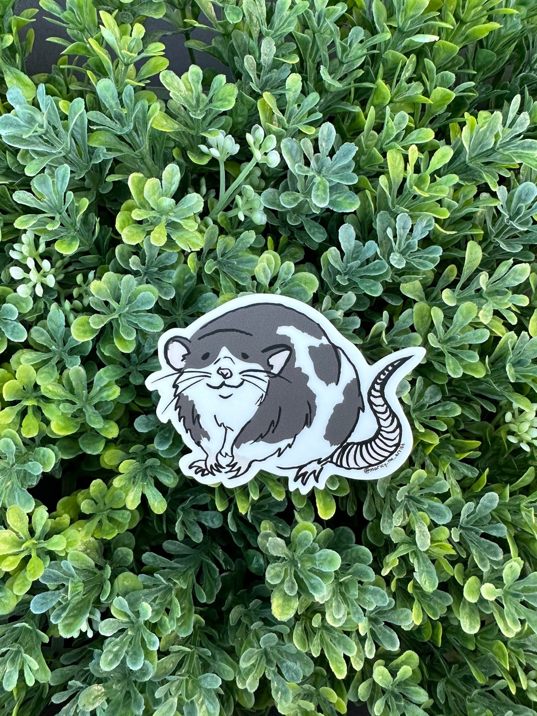 Black and White Cow Rat Sticker - Etsy