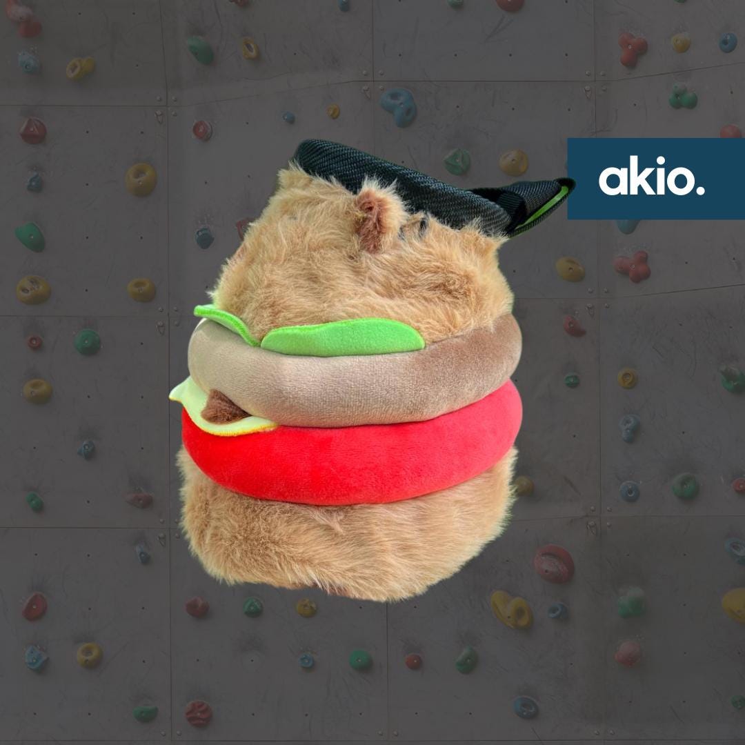 Capybara Burger Chalk Bag - Etsy