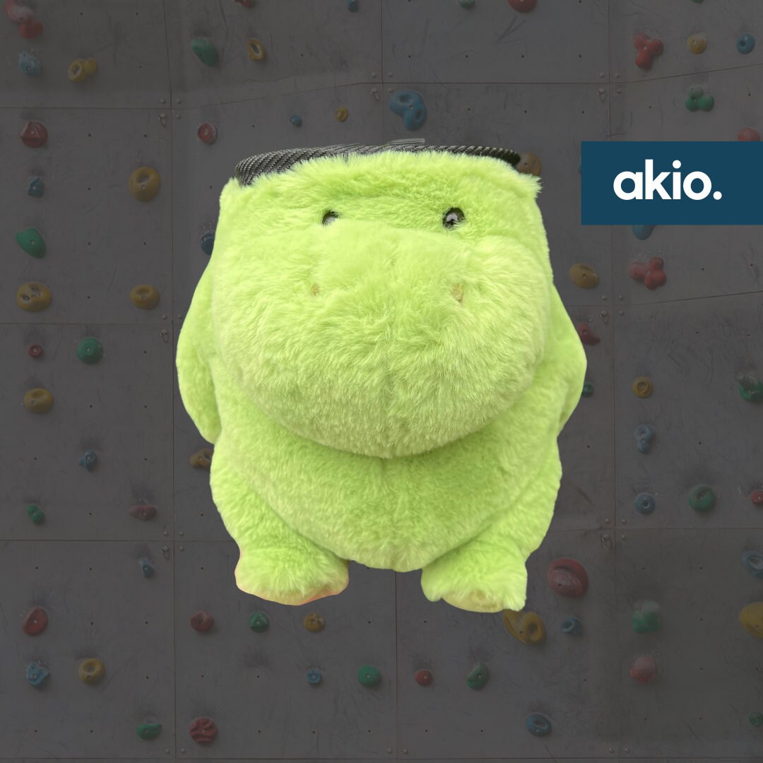 Chonky Dino Chalk Bag - Etsy