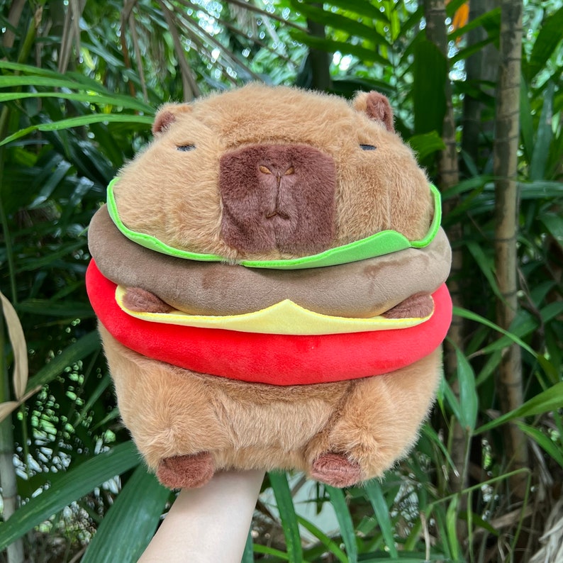 Capybara Burger Chalk Bag - Etsy