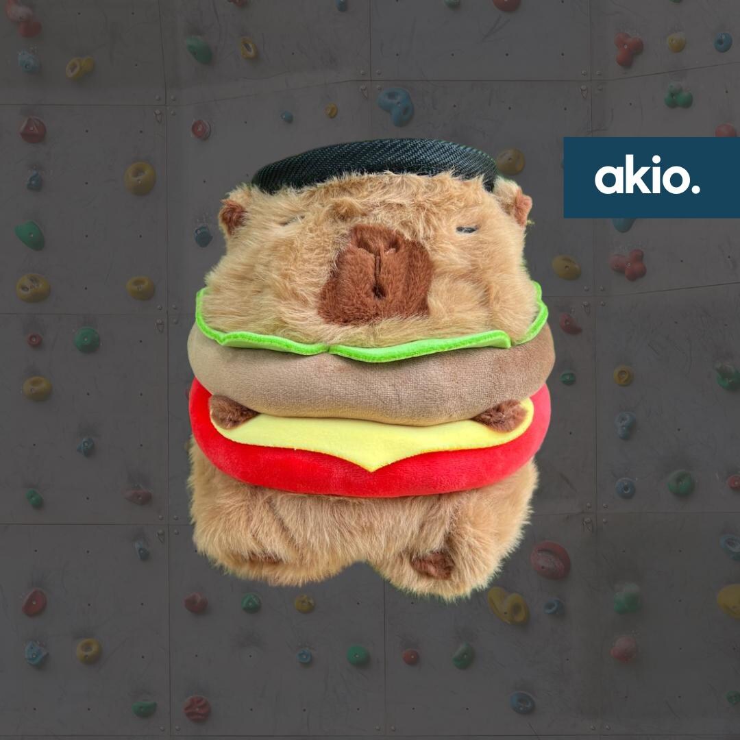 Capybara Burger Chalk Bag - Etsy