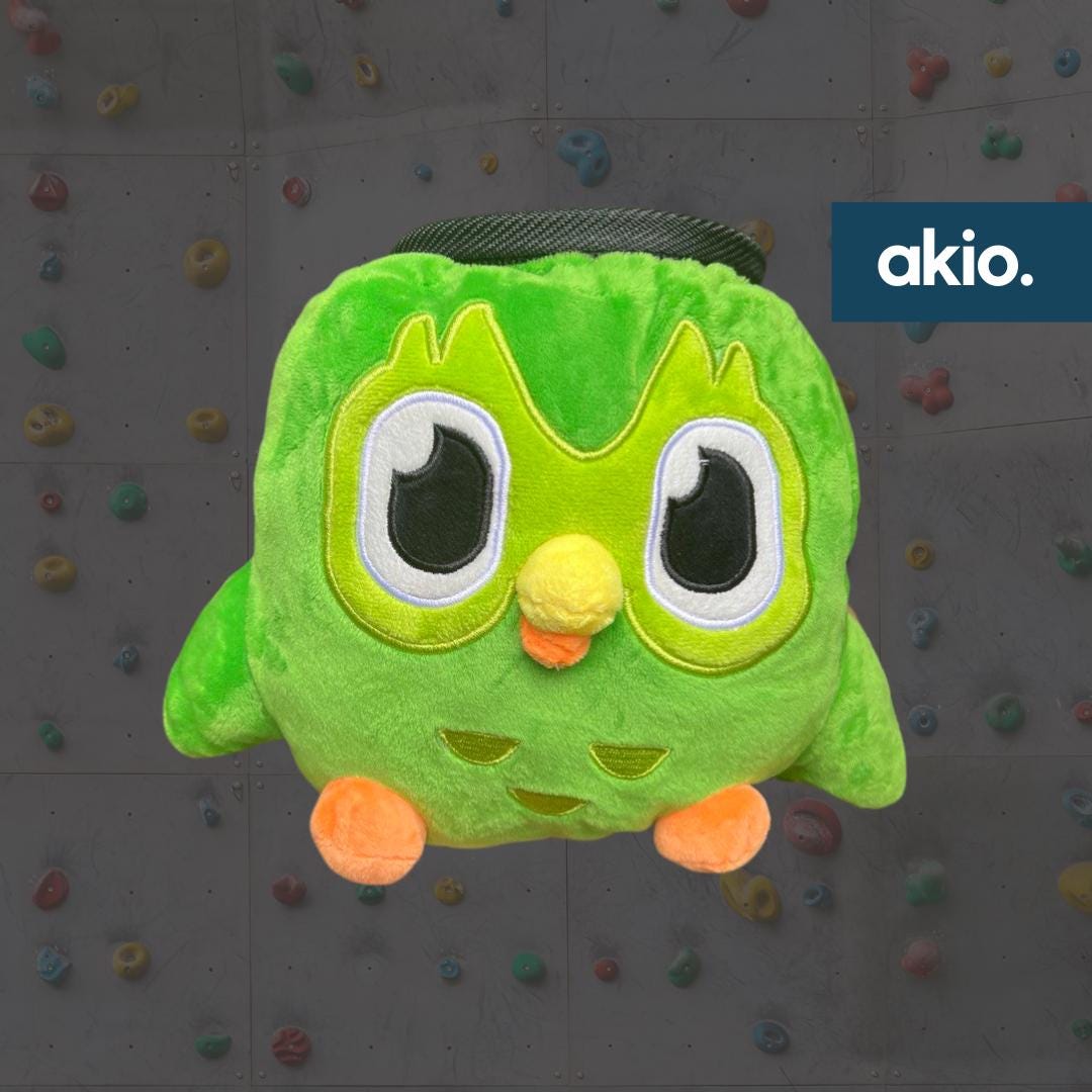 Duolingo Owl Chalk Bag | Rockclimbing Chalk Bag | Bouldering Chalk Bag ...