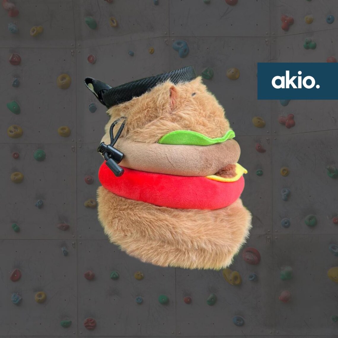 Capybara Burger Chalk Bag - Etsy