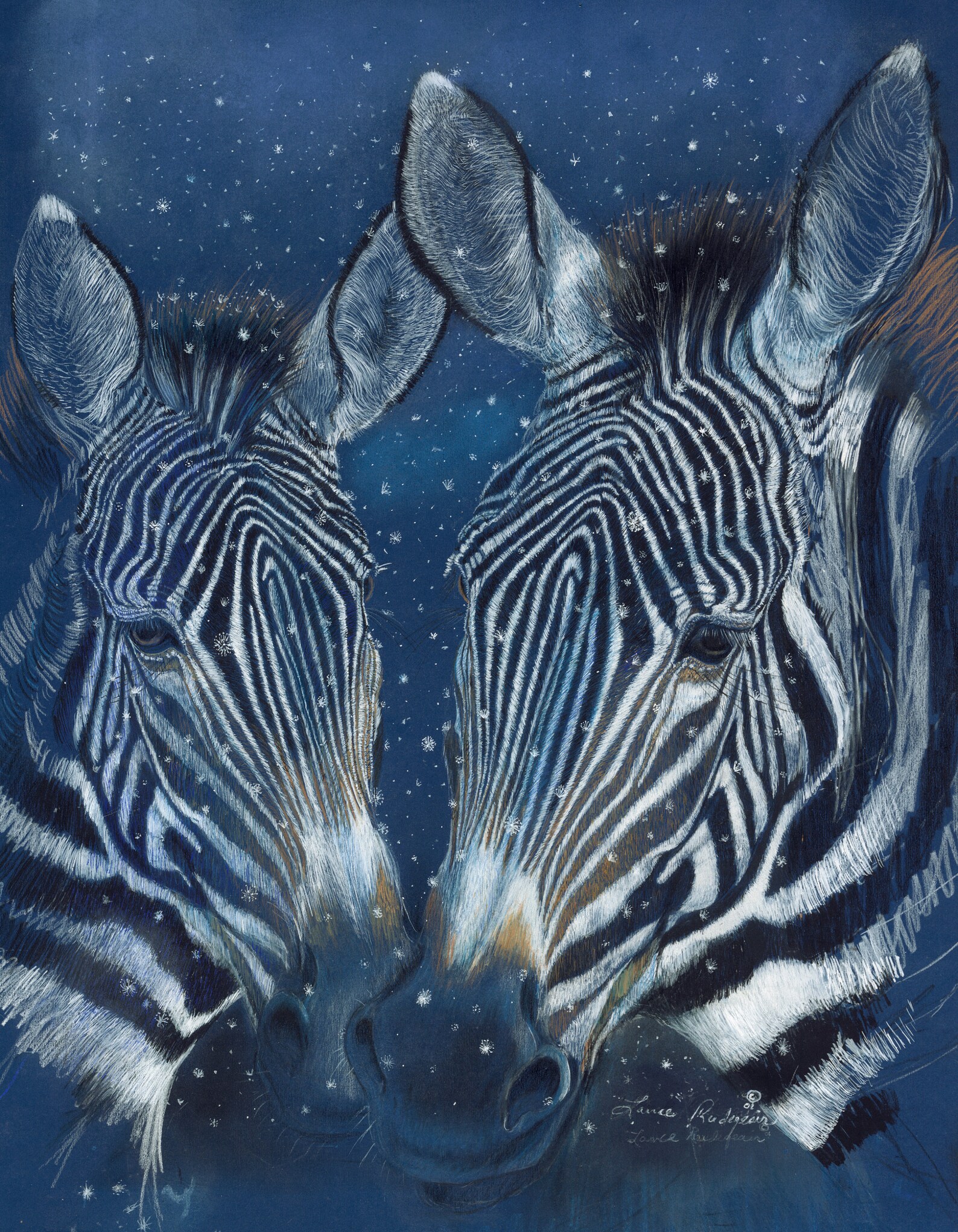 Arte de cebra Arctic Zebras edición limitada Fine Art print of zebras ...