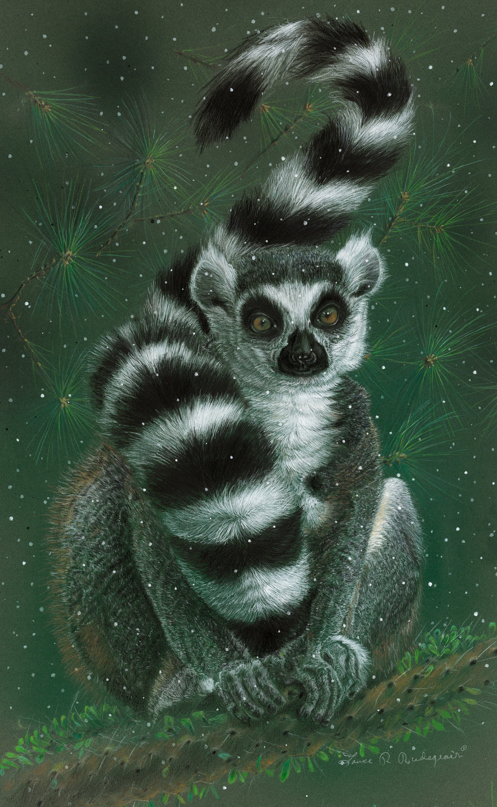 Lemur Art christmas Lemur Limited Edition Fine Art Print of Ring-tailed ...