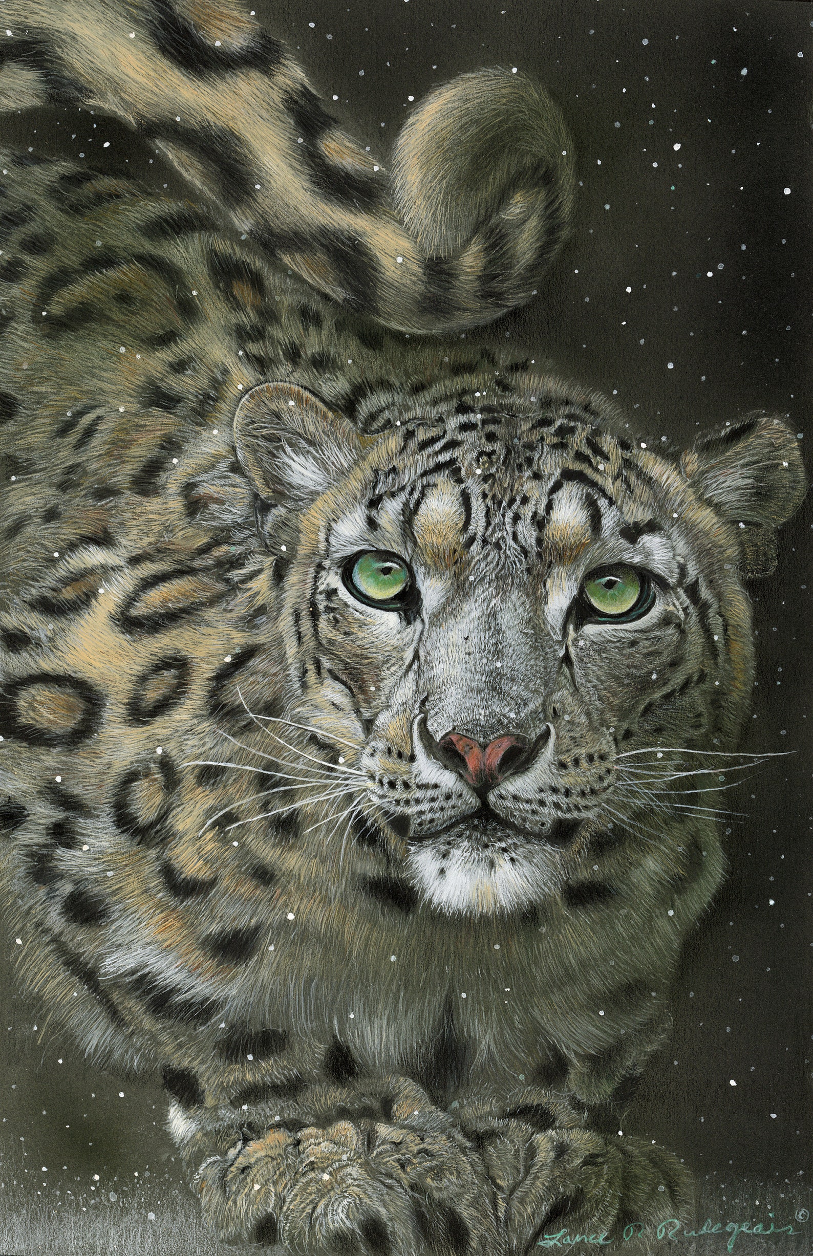 Snow Leopard Art - “christmas Snow Leopard” - Limited Edition Fine Art ...