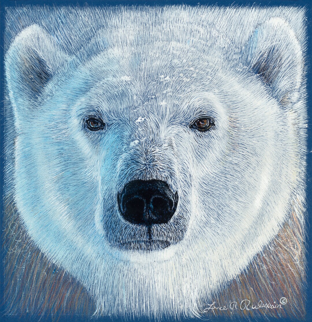 Polar Bear Closeup - Limited Edition Fine Art Reproduction - Etsy