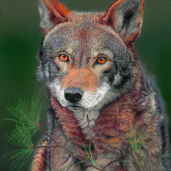 Wolf Fine Art Print - Etsy