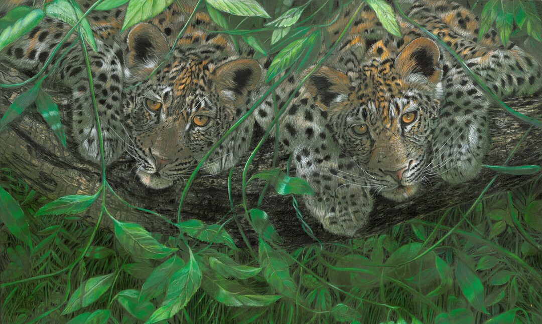 Leopard Art - “jungle Twins” 2 (detail) - Limited Fine Art Print of ...