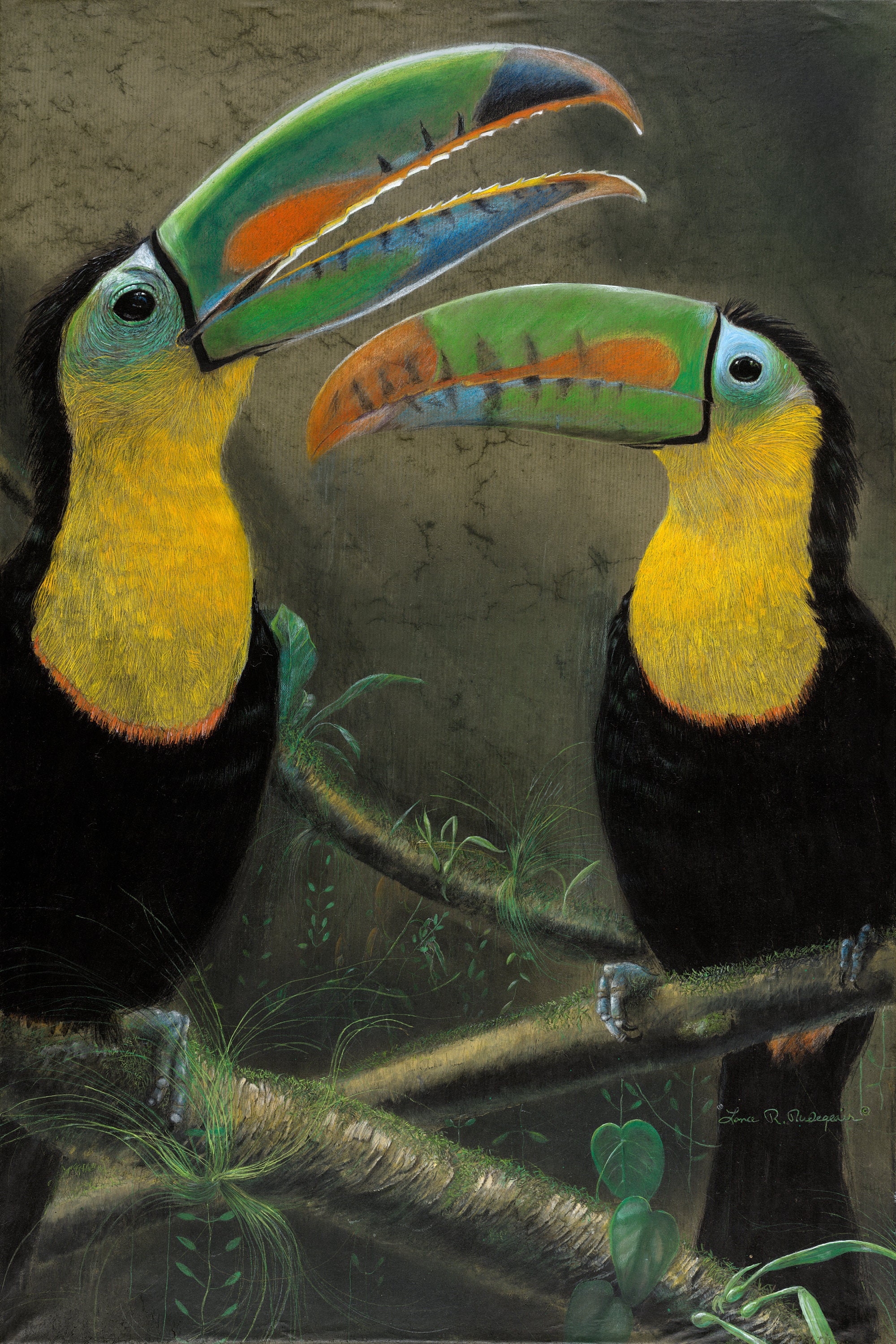 Toucan Art rainforest Dream, Rainforest Scream Limited Edition Fine Art ...