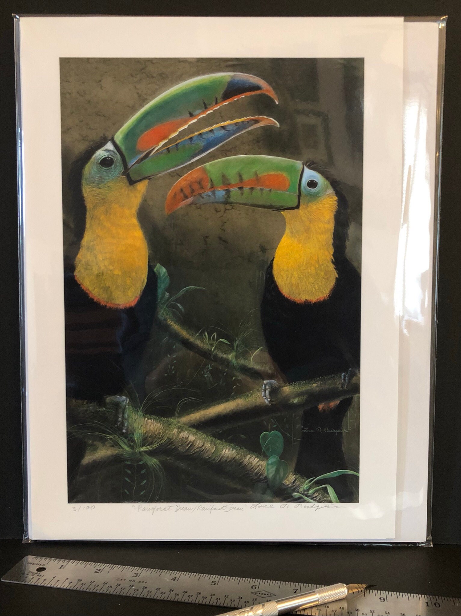 Toucan Art - “rainforest Dream, Rainforest Scream” - Limited Edition ...
