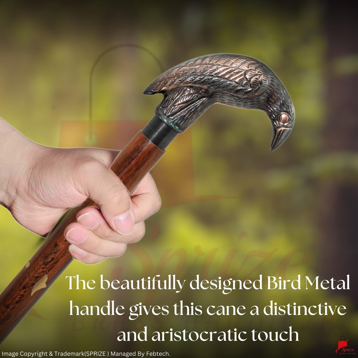 Wooden Walking Cane Raven Walking Cane Black Elegant and Collectible ...