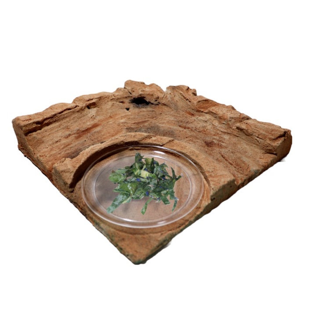 Feeding Rock 10 Colors With 3 Reusable Plates by Reptilerocks.com - Etsy