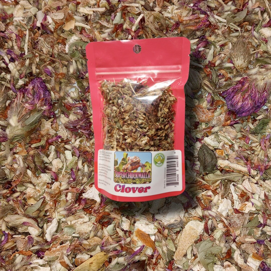 Clover + Cactus - Superchuckwalla ( Food Topping for Chuckwalla ) - Etsy