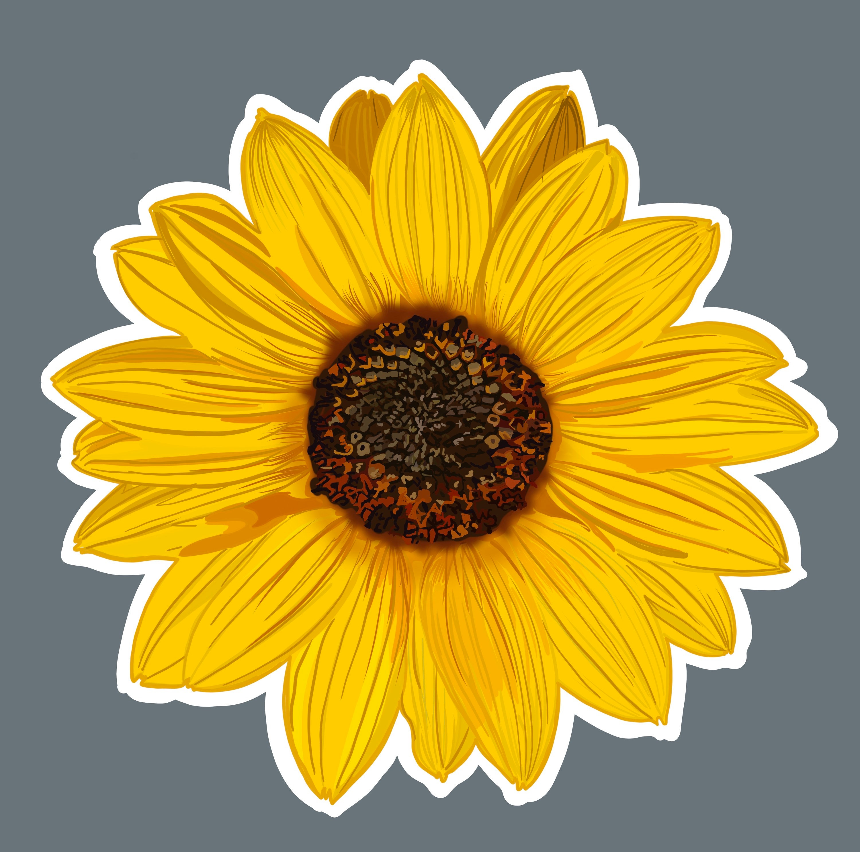 Sunflower Sticker - Etsy