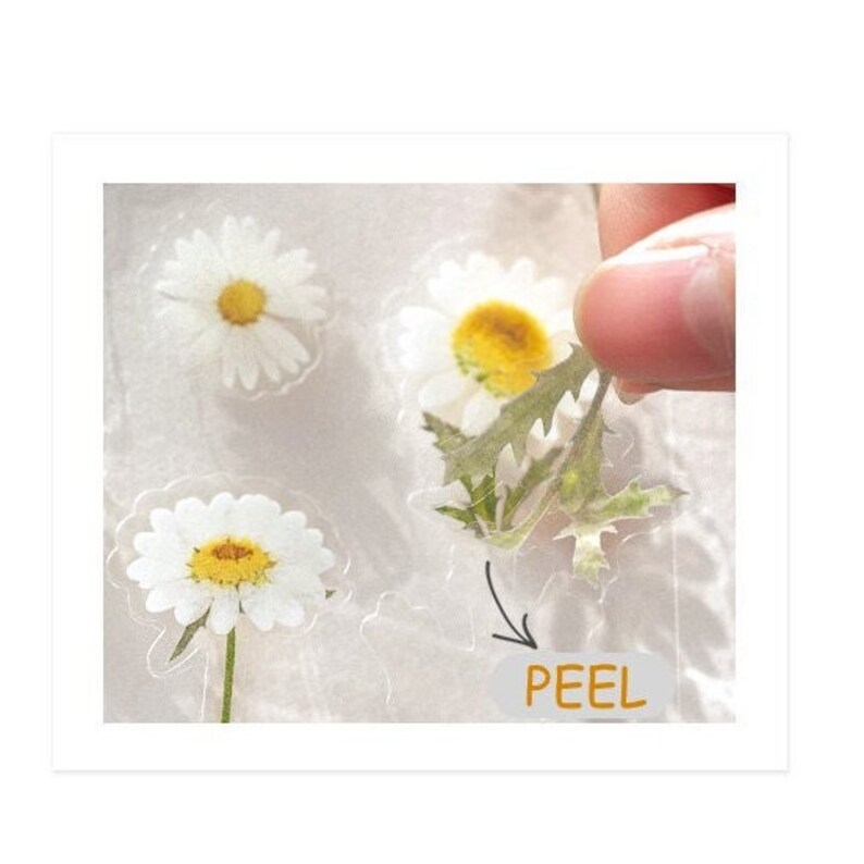 Stickers Nature Stickers Floral Stickers Transparent | Etsy UK