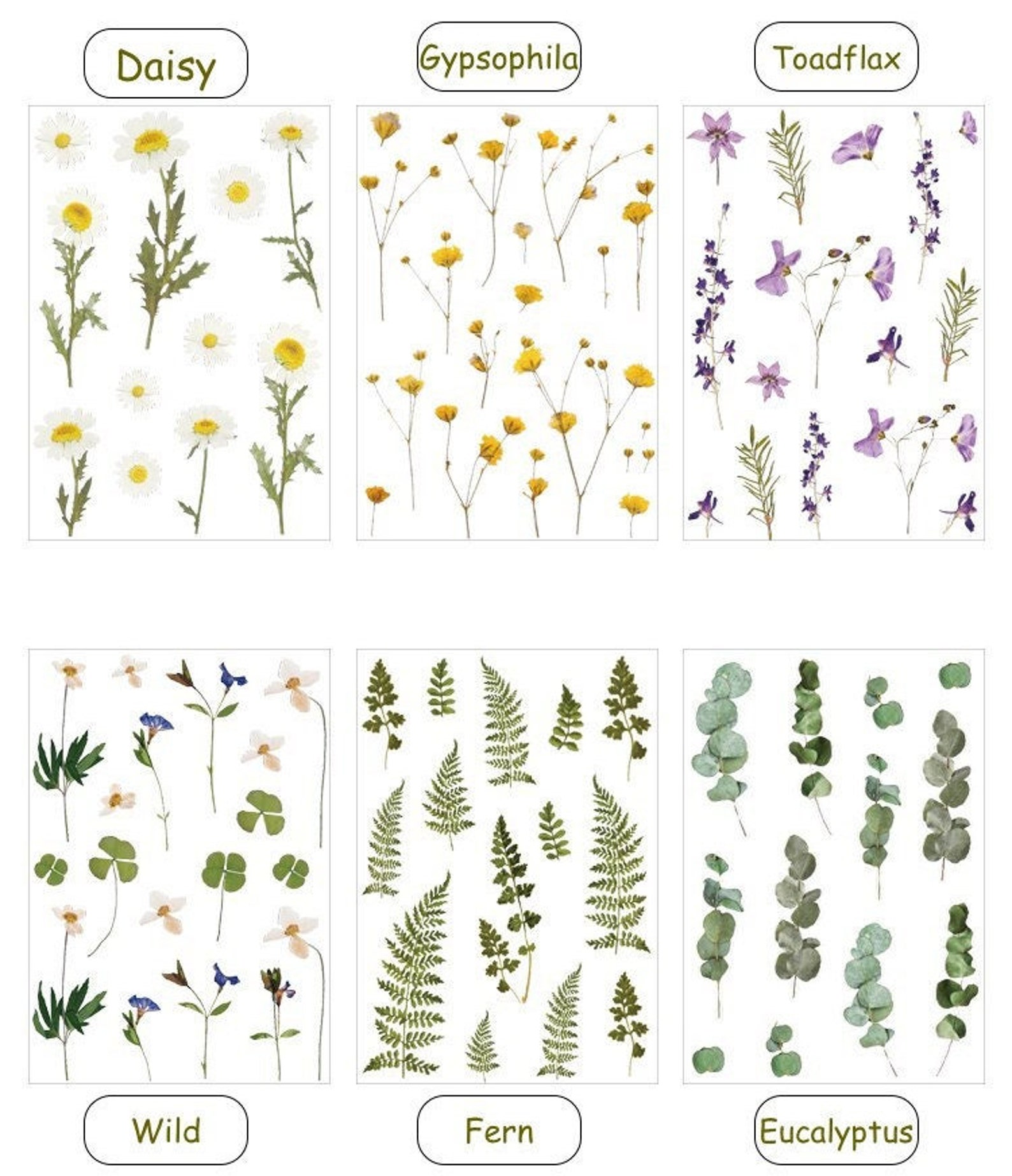 Stickers Nature Stickers Floral Stickers Transparent - Etsy UK