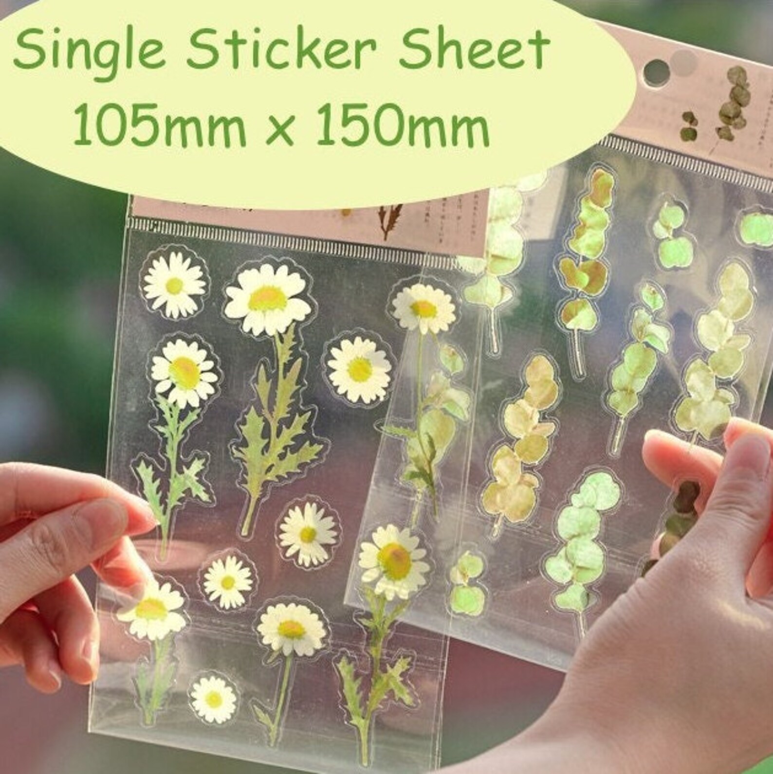 Stickers Nature Stickers Floral Stickers Transparent | Etsy UK