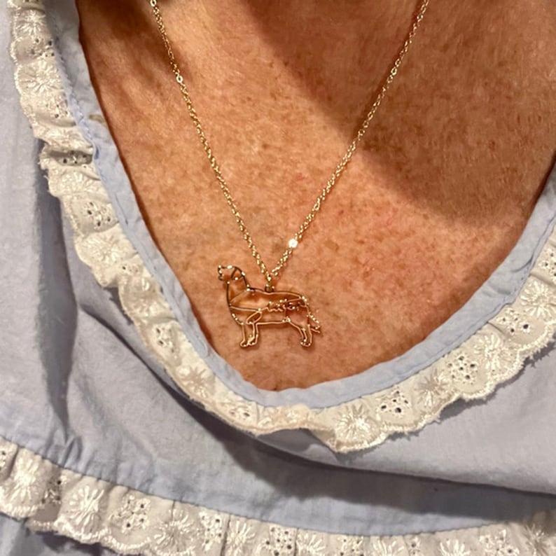 Custom Dog Necklace With Namepersonalized Jewelry for - Etsy