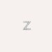 Z Letter Diamond Stone White Gold Mini Single Earrings - Etsy