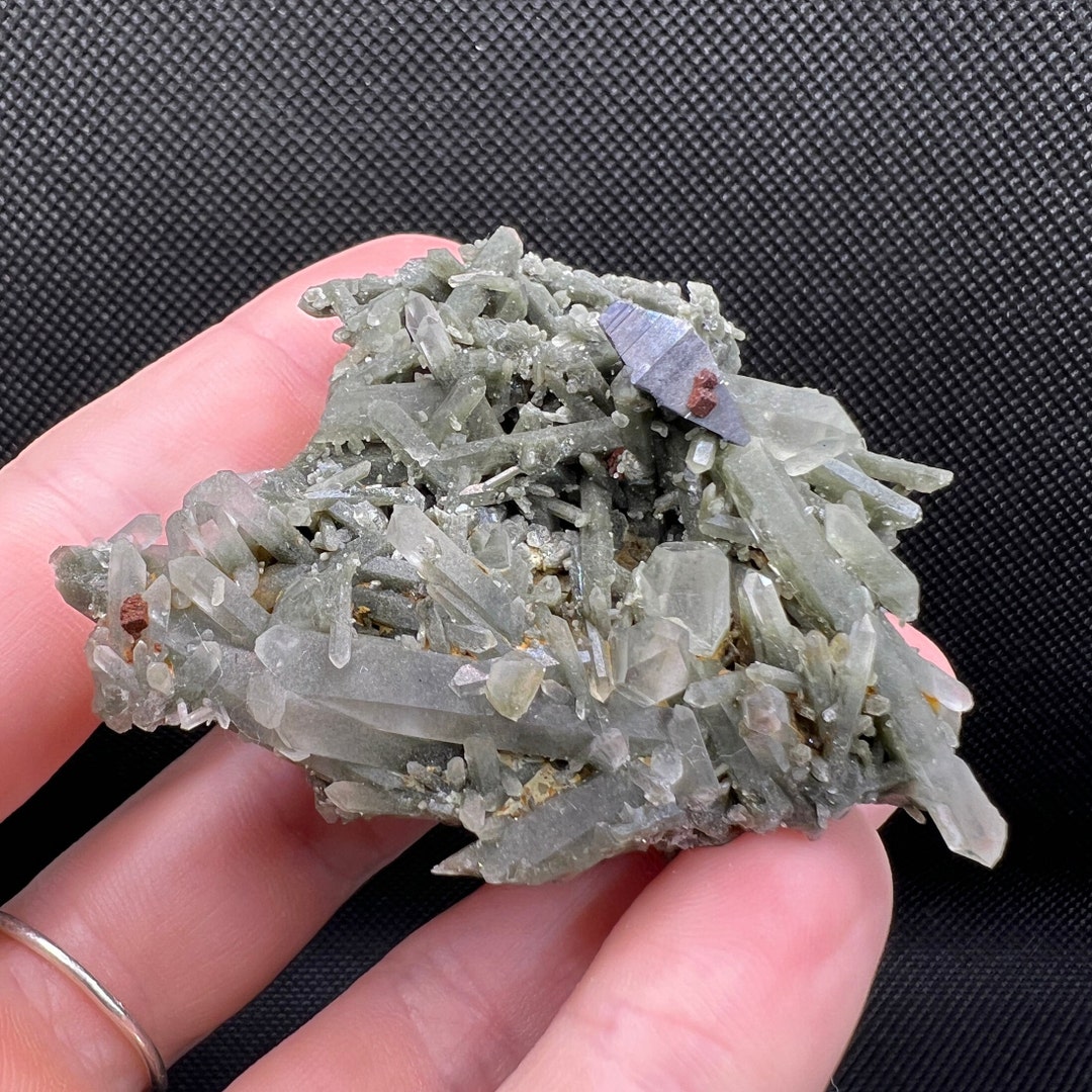 Blue Anatase Crystal on Chlorite Quartz Cluster - Etsy