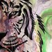 Tiger Shade Original Painting 16 X 20 Canvas, Tiger Painting, Art ...