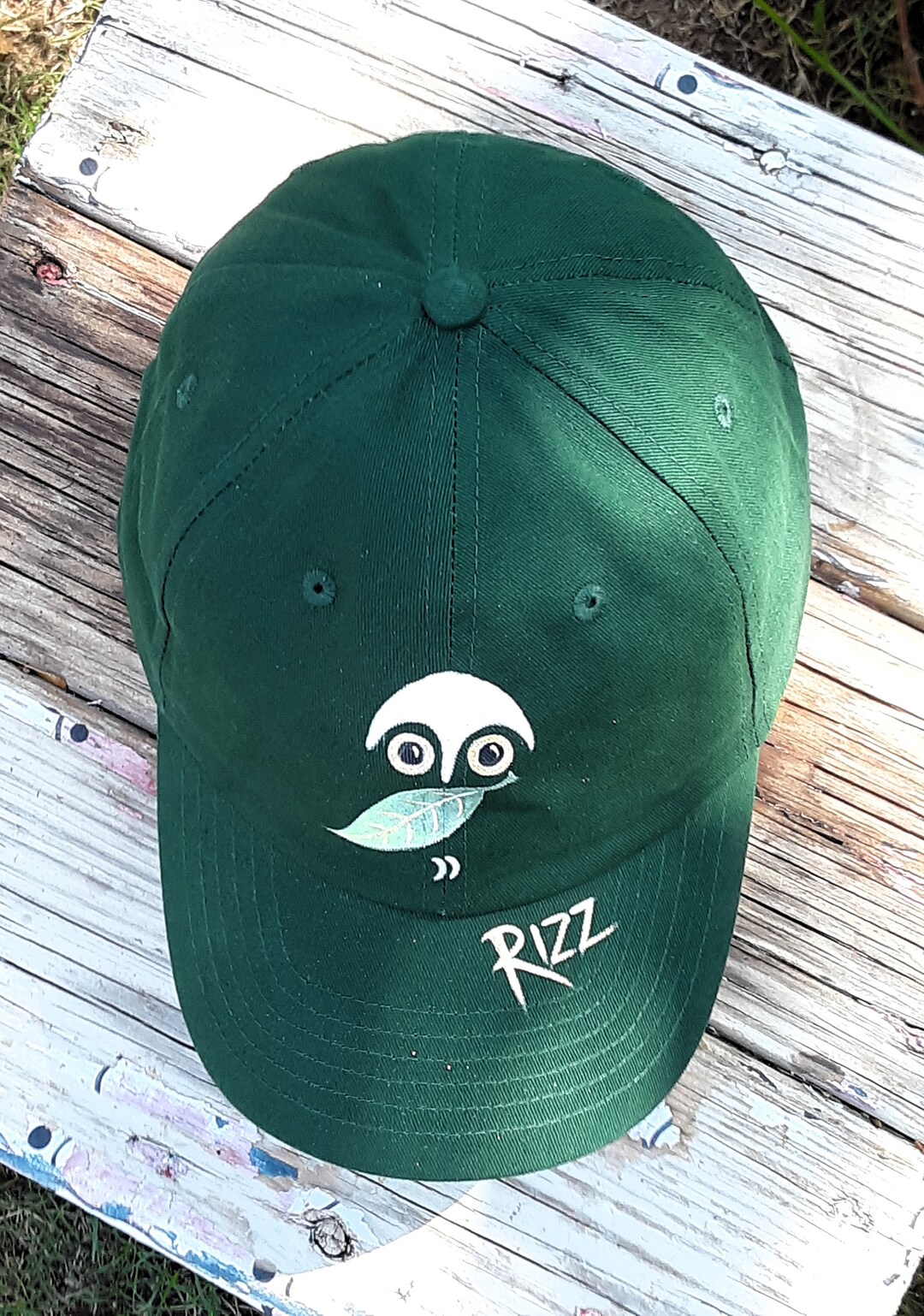 Owl Rizz Ball Cap, Hand Painted Ball Cap, Teen or Adult Ball Cap, Green ...