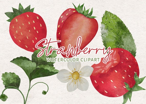 Strawberry Watercolor Clipart Summer Fruits Watercolor - Etsy