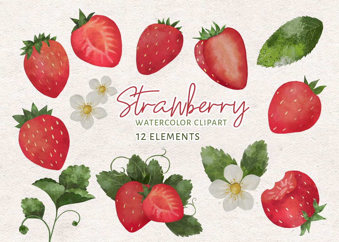 Strawberry Watercolor Clipart Summer Fruits Watercolor - Etsy
