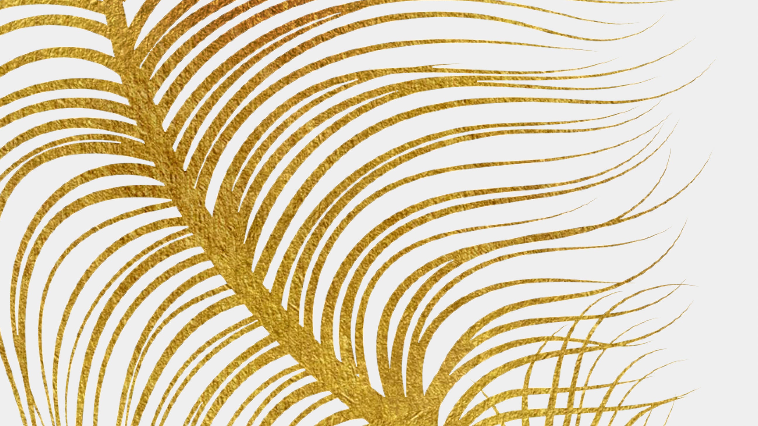 Golden Foil and Golden Glitter Feather Clipart for Scrapbook, Flyer ...